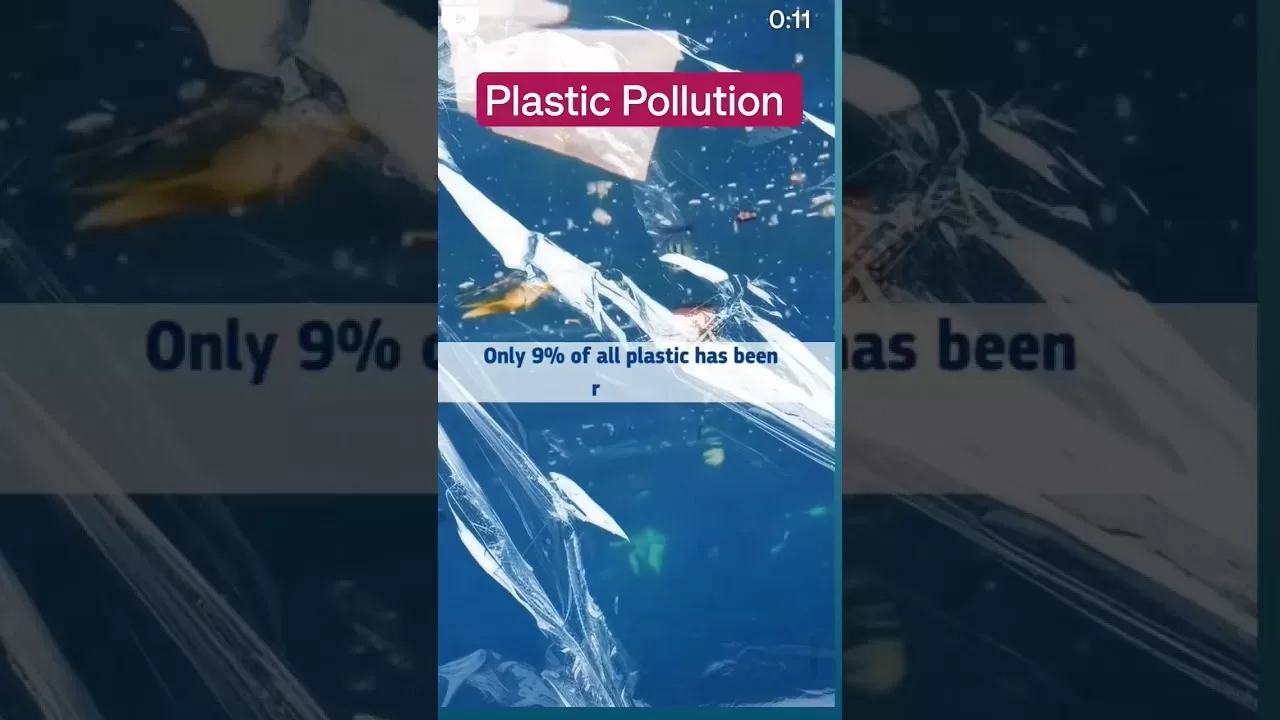 Plastic Pollution - Microplastics #upsc2024 #shorts - TheGeoecologist