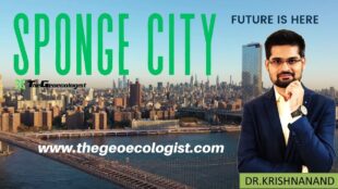 Sponge Cities- Cities for Future-Sustainable City #shorts - TheGeoecologist
